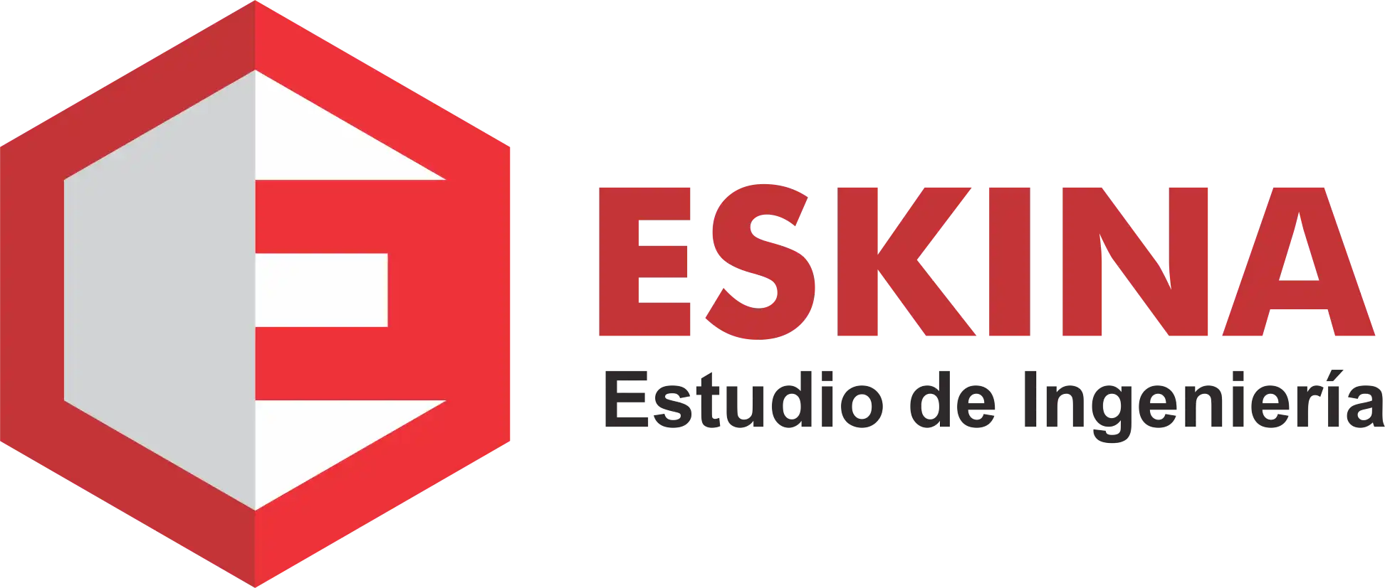 Eskina - Infografías